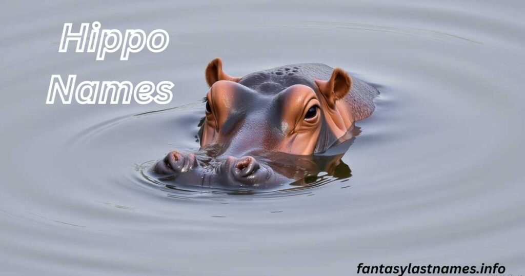 290+ Hippo Names with Meaning + AI Generator