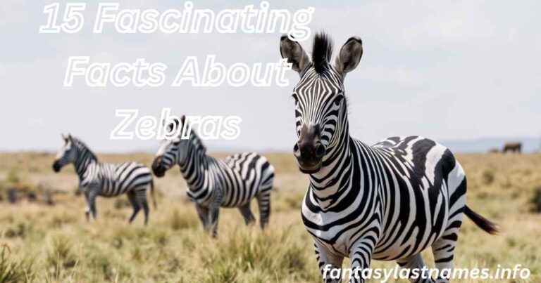 370+ Cool Zebra Names With Meaning + Generator