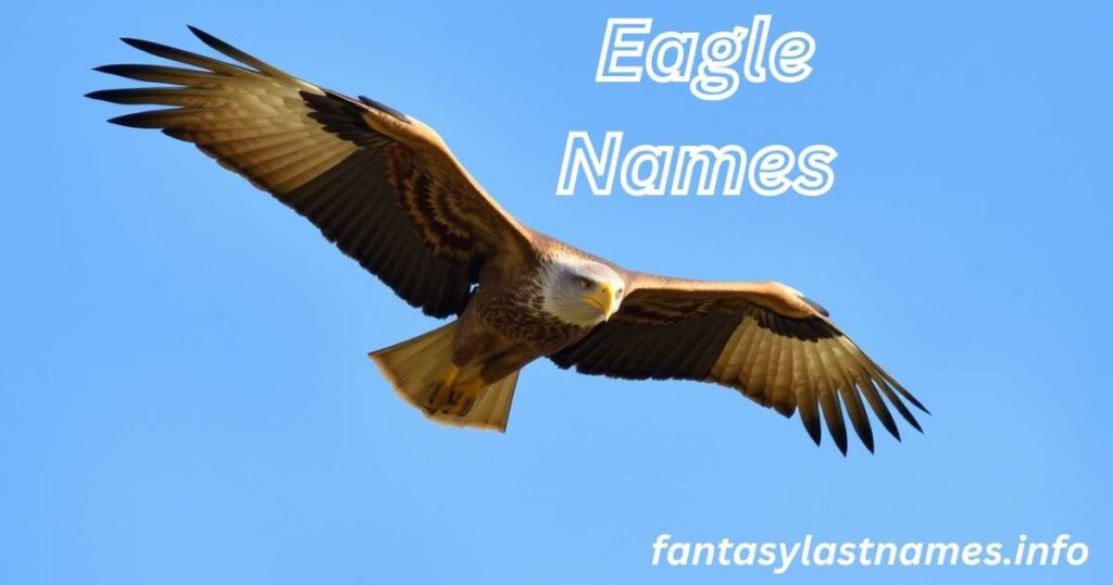 350+ Best Eagle Names & Meanings + AI Generator
